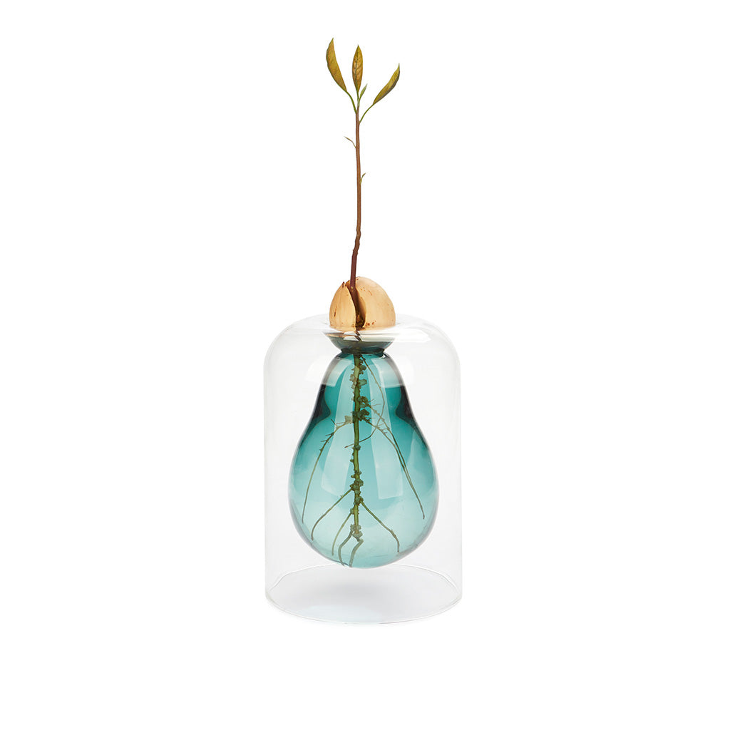 Avocado Vase | Balvi